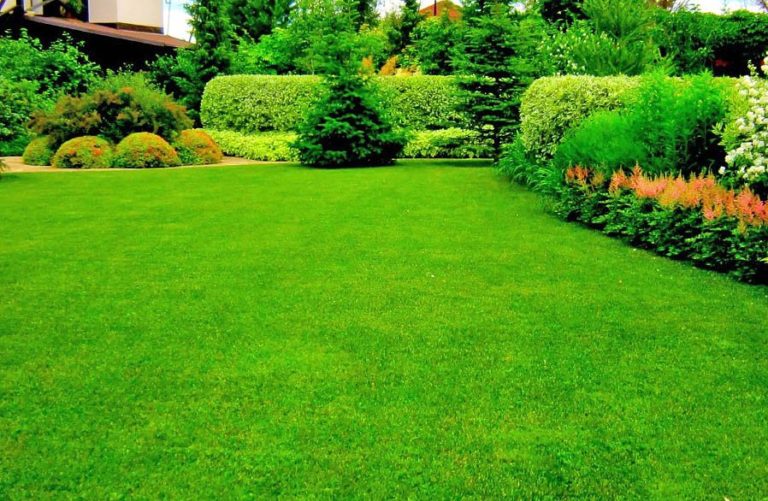 Les Types de gazon en fonction de son usage - Gazon Artificiel Maroc